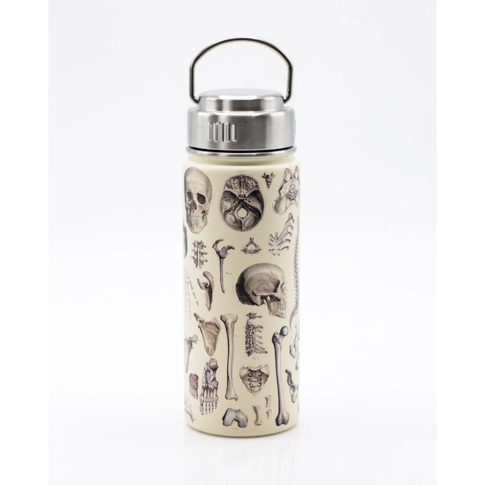 'Skeleton' 500mL Vacuum Flask – Leura Cabinet of Curiosities